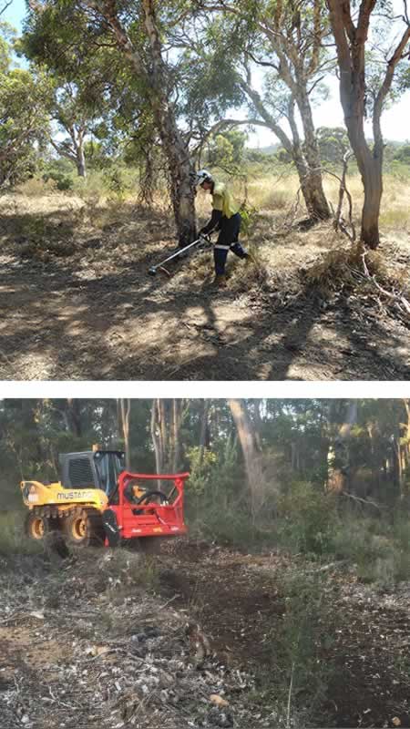 Slashing » WA Treeworks